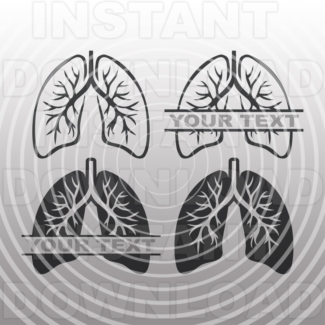 Anatomical Lungs SVG File,respiratory Therapist Svg,anatomy SVG ...