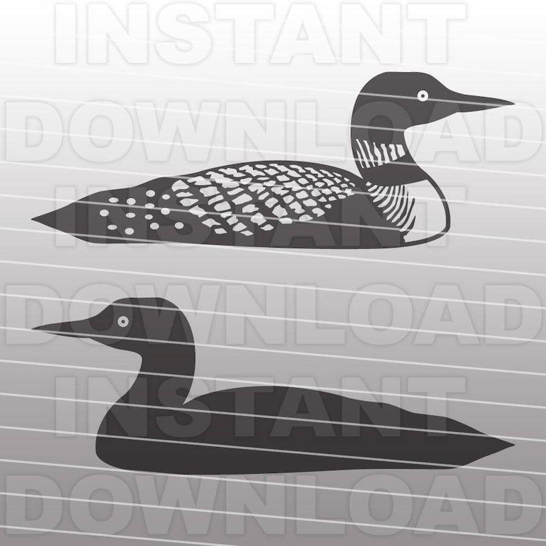 Loon SVG File,loon Silhouette SVG File,loon Cut File-vector Clip Art ...