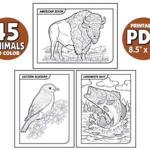 45 Wild Animals of Oklahoma Coloring Pages Book,fish Birds Mammals ...