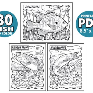 30 Freshwater Fish of Alabama Coloring Pages Book, Fishing Coloring ...