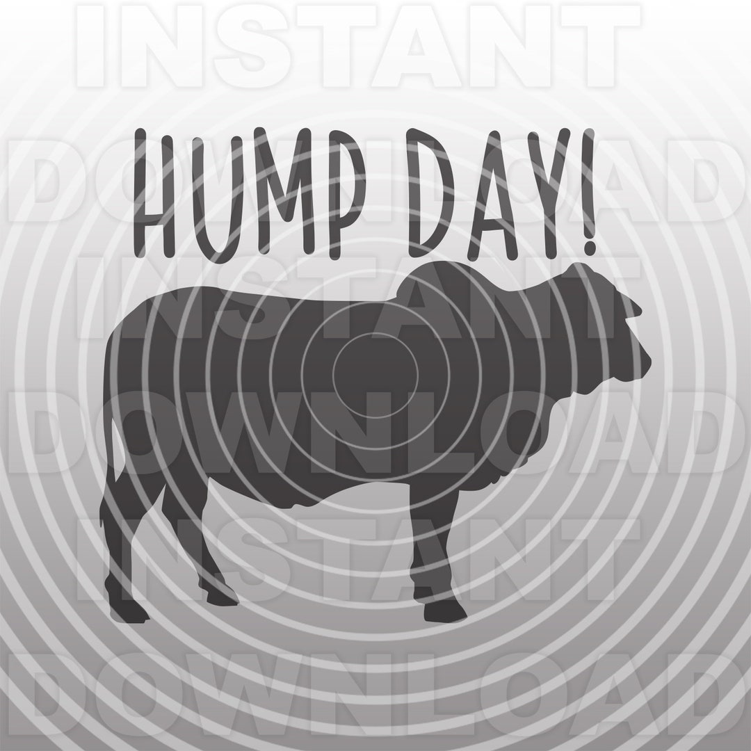 Hump Day Brahman Heifer SVG File,cattle Livestock Svg,farming Svg ...