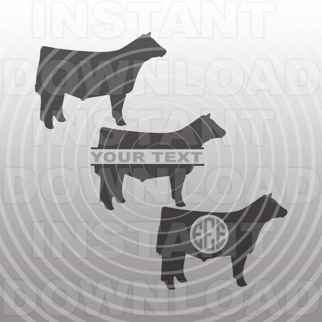Fluffy Cows SVG File,fluffy Steer Svg,cattle Svg,cow Svg,stock Show Svg ...