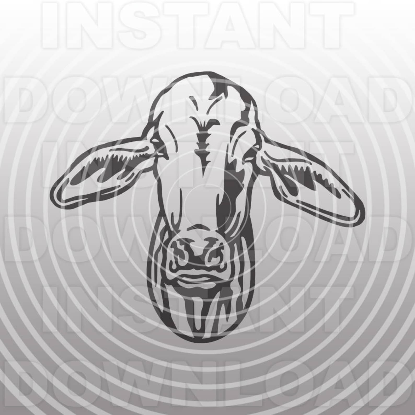 Brahman Heifer Face Svg,livestock SVG, Svg,cattle Svg -vector Art for ...