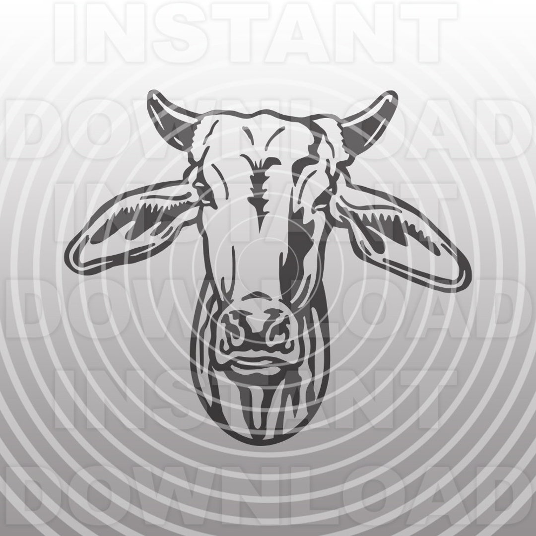 Brahman Bull Head SVG File,angus SVG File,cattle Svg,bull Svg -vector ...