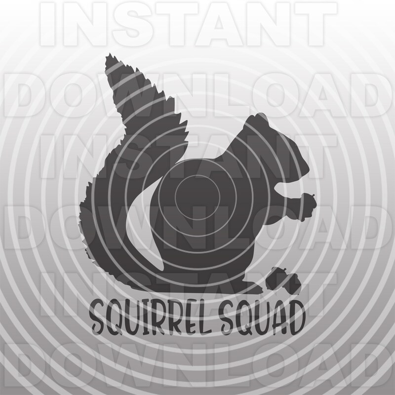 Squirrel Svg - Etsy
