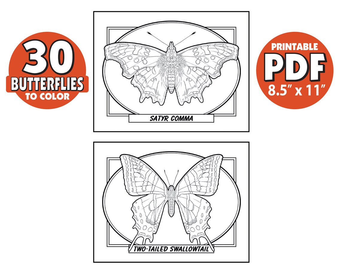 30 Butterflies of Washington Coloring Pages Book,butterfly Coloring ...