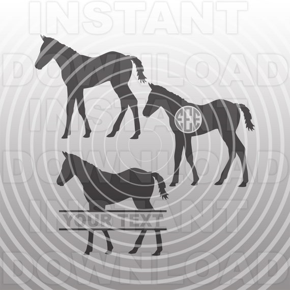 Horse Foal SVG Filehorse Colt SVG Filehorse Filly SVG - Etsy