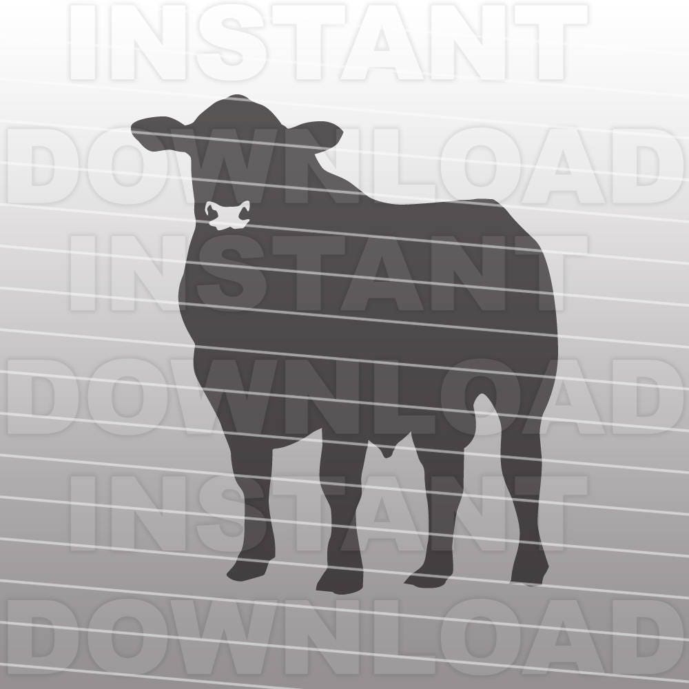 Angus Bull SVG File Cattle SVG Livestock SVG Vector Clip - Etsy