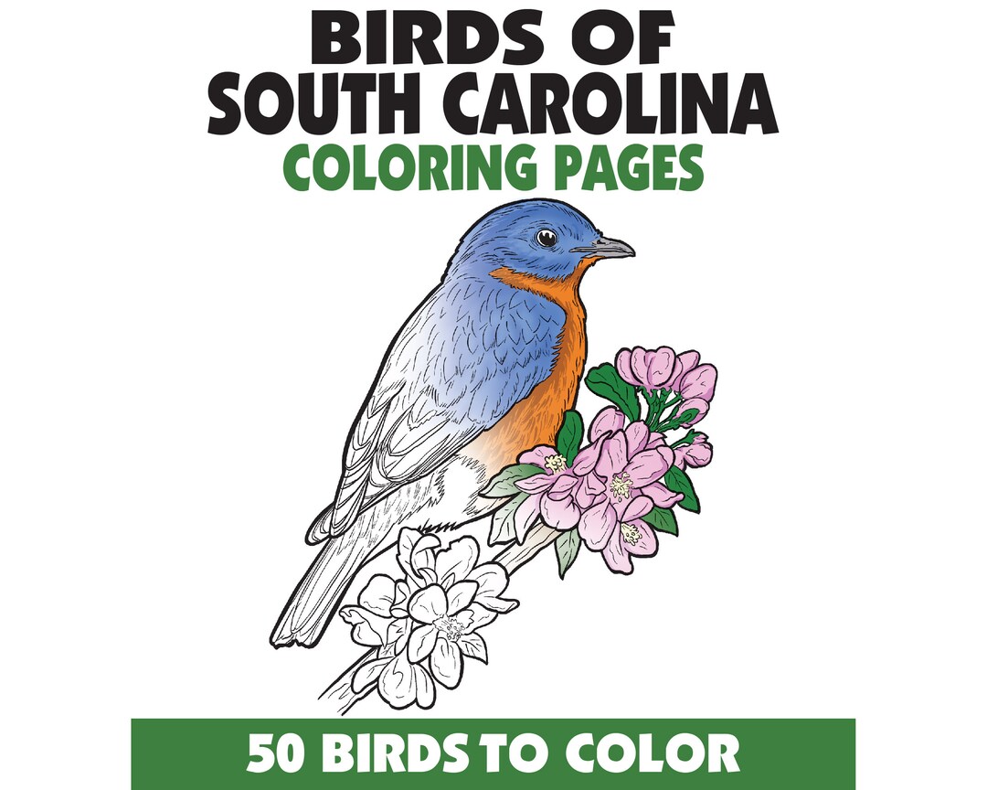 50 Birds of South Carolina Coloring Pages Book,birdwatching Coloring ...