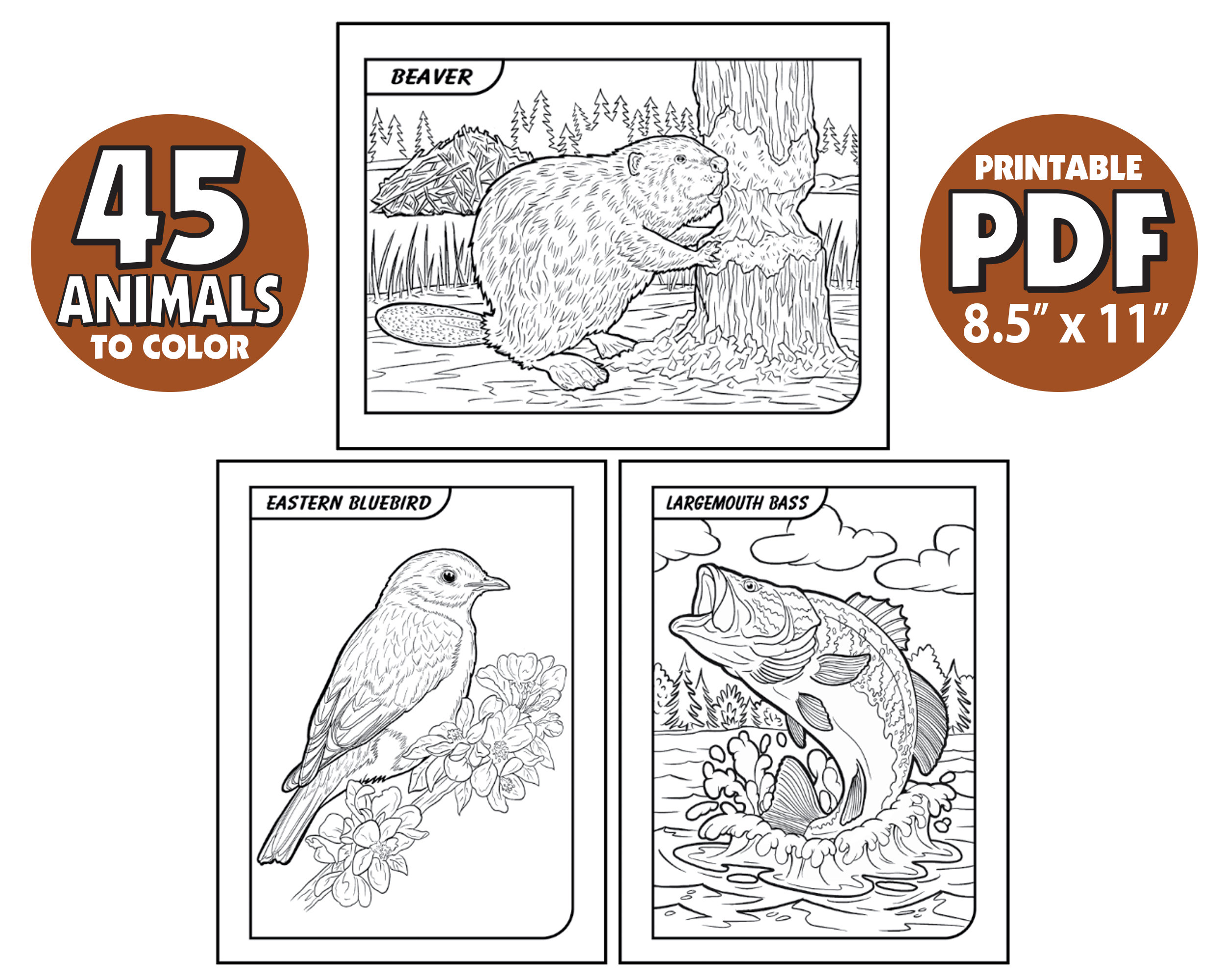 45 Wild Animals of New Jersey Coloring Pages Book,fish + Birds ...