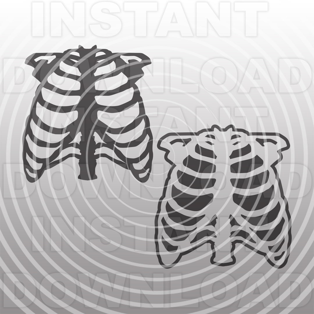 Human Rib Cage Skeletal Anatomy SVG File,orthopedics Svg,rad Tech Svg,x ...