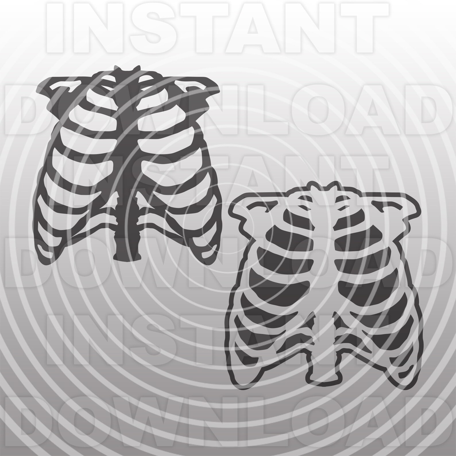 Human Rib Cage Skeletal Anatomy SVG Fileorthopedics Svgrad - Etsy