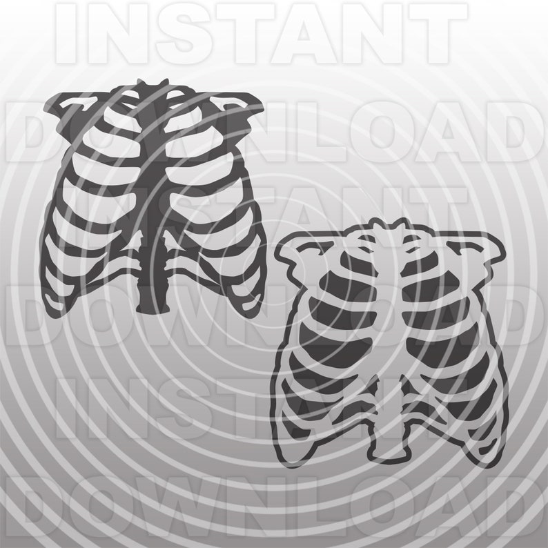 Human Rib Cage Skeletal Anatomy SVG Fileorthopedics Svgrad - Etsy