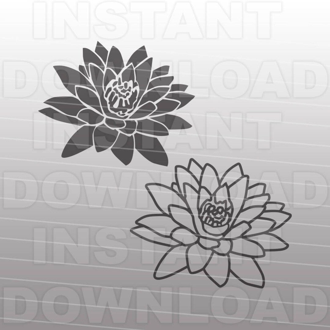 Water Lily SVG File,lotus Flower Svg,floral Svg -commercial & Personal ...