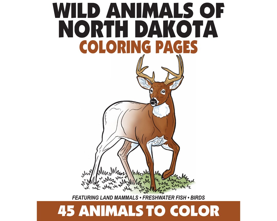 45 Wild Animals of North Dakota Coloring Pages Book,fish + Birds ...