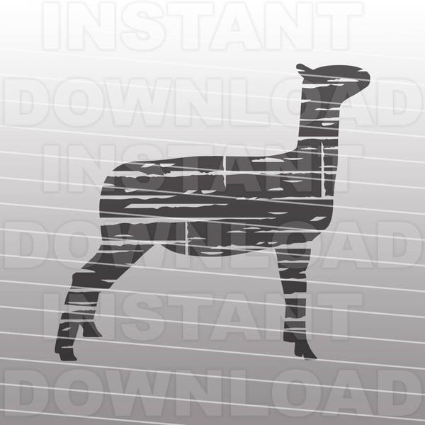 Show Lamb Clip Art - Etsy