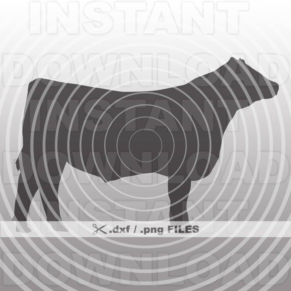 Show Steer DXF Livestock DXF vector Art Commercial & - Etsy