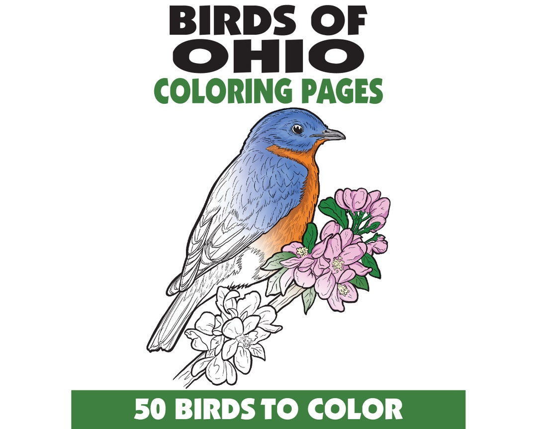 50 Birds of Ohio Coloring Pages Book,birdwatching Coloring Pages,adults ...