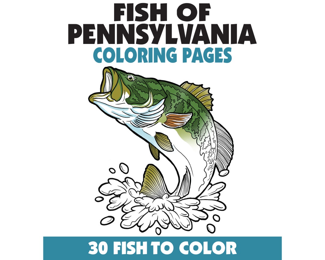 30 Fish of Pennsylvania Coloring Pages Book, Fishing Coloring Pages ...