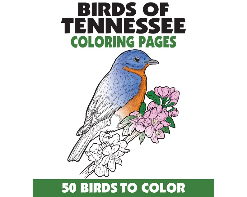 50 Birds of Tennessee Coloring Pages Book,birdwatching Coloring Pages ...