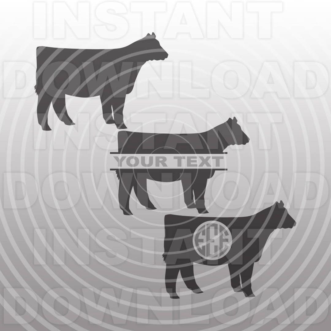 Fluffy Cows SVG File,show Heifer Svg,cattle Svg,cow Svg,stock Show Svg ...