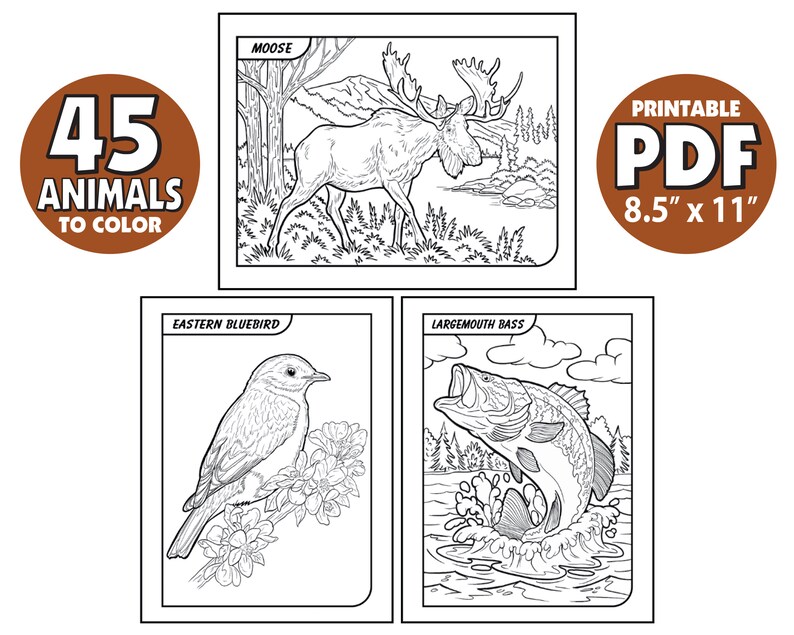 45 Wild Animals of Maine Coloring Pages Book,fish + Birds + Mammals ...