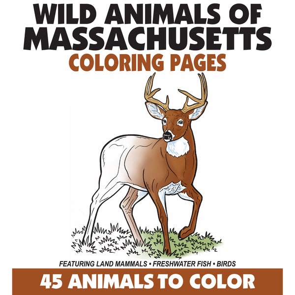 Massachusetts Coloring Page - Etsy