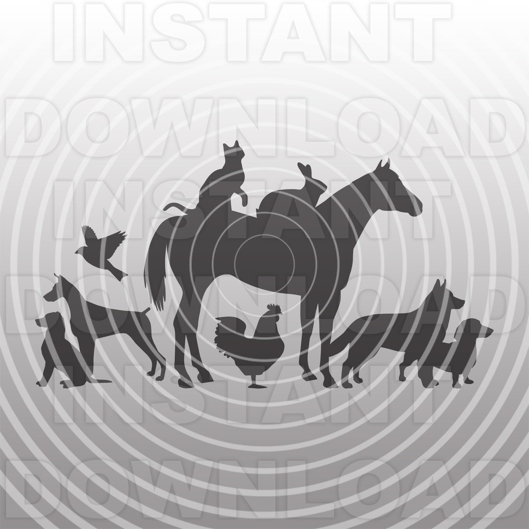 Veterinarian Animals SVG File,veterinary Clinic Svg,vet Tech Svg,vector ...