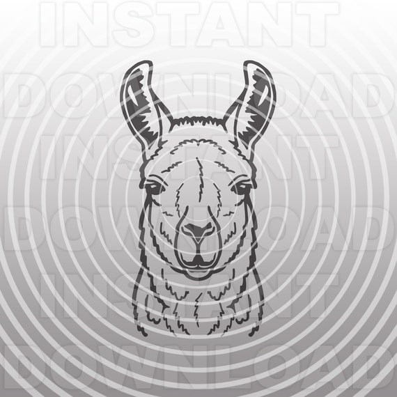 Llama SVG Filellama Face Svgfarm Svg vector Art - Etsy