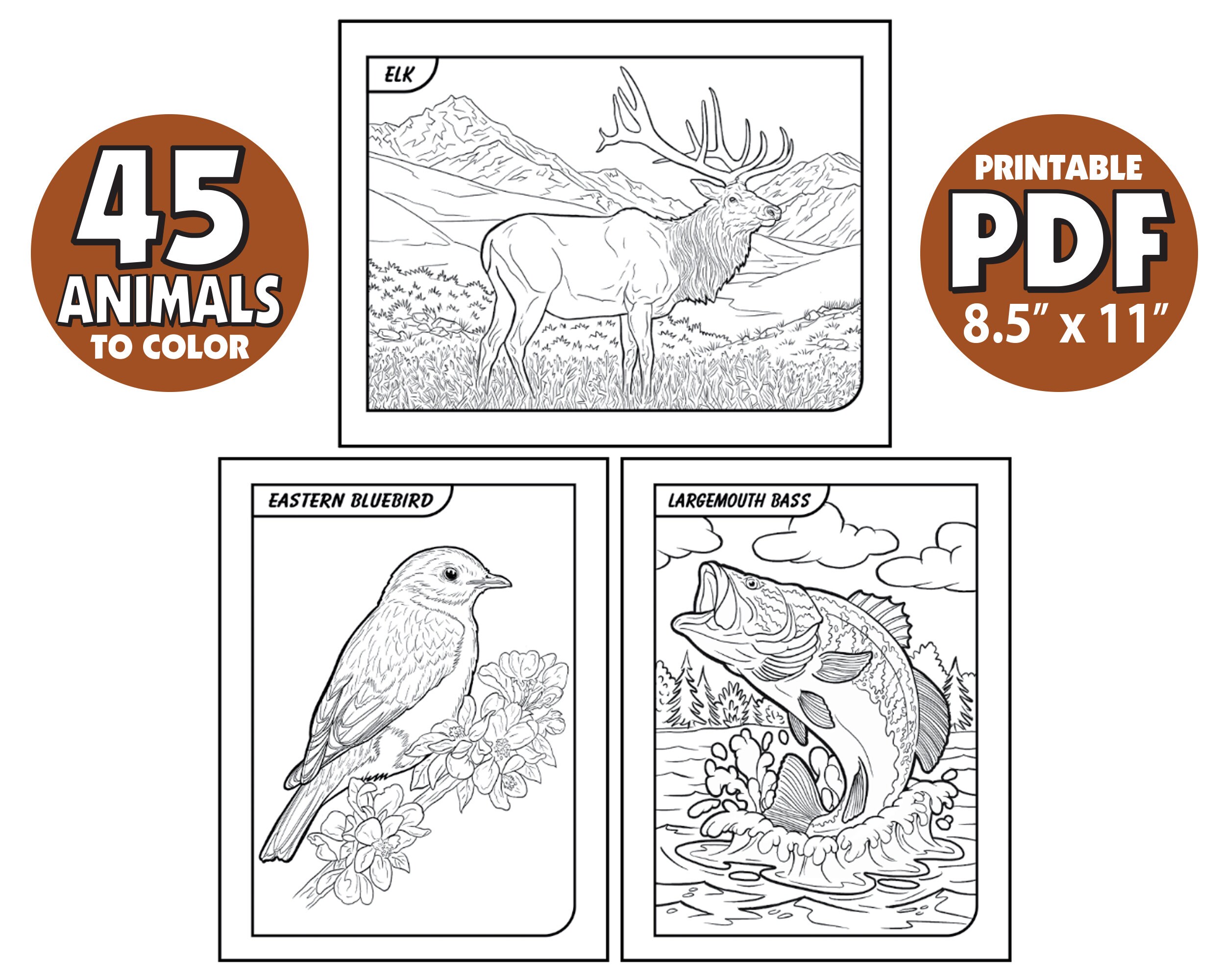 45 Wild Animals of Montana Coloring Pages Book,fish + Birds + Mammals ...