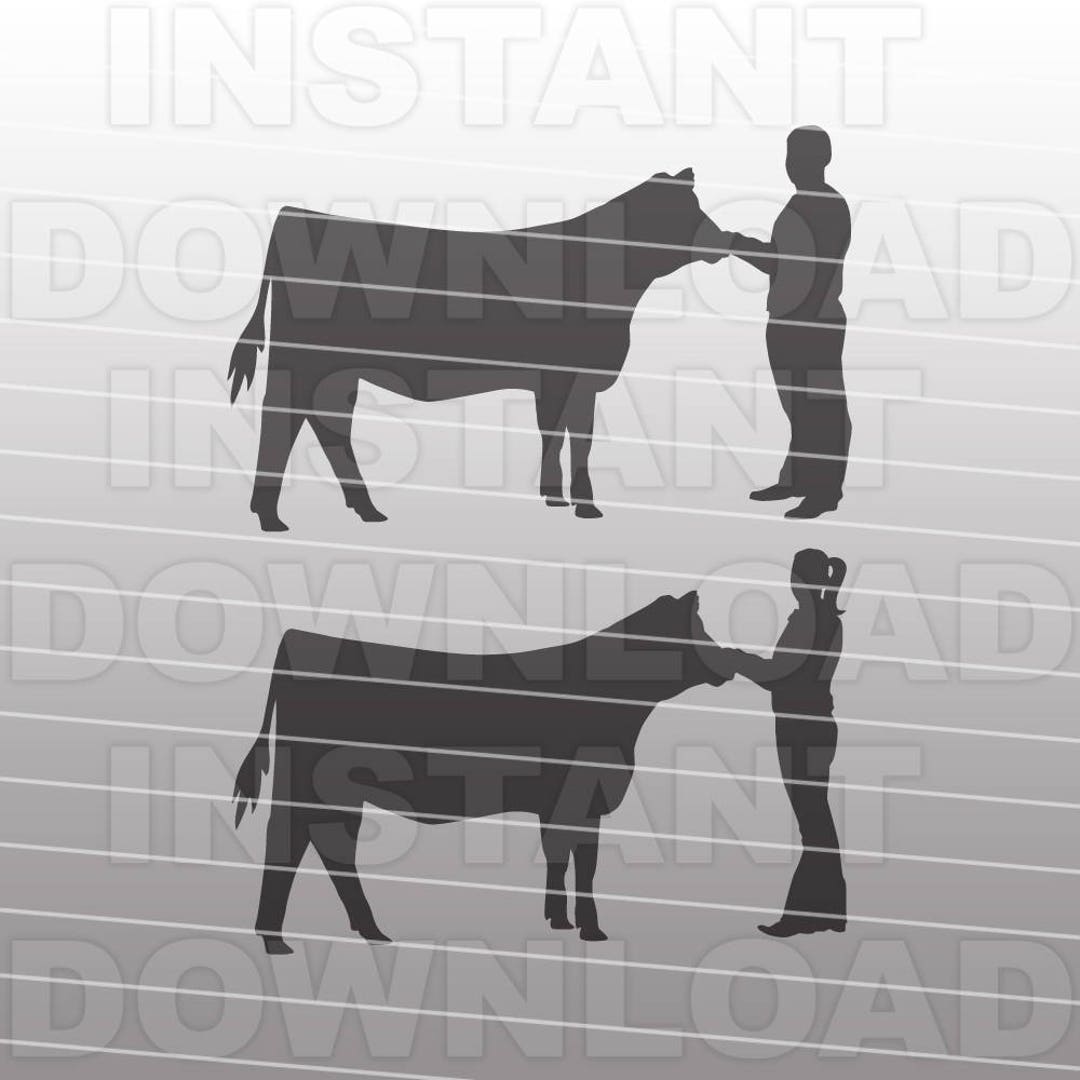 Show Heifer Svg,livestock Svg,cow SVG File,cattle Svg-cut File-vector ...