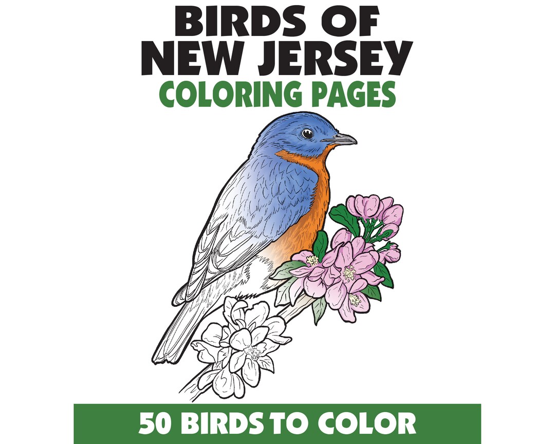 50 Birds of New Jersey Coloring Pages Book,birdwatching Coloring Pages ...