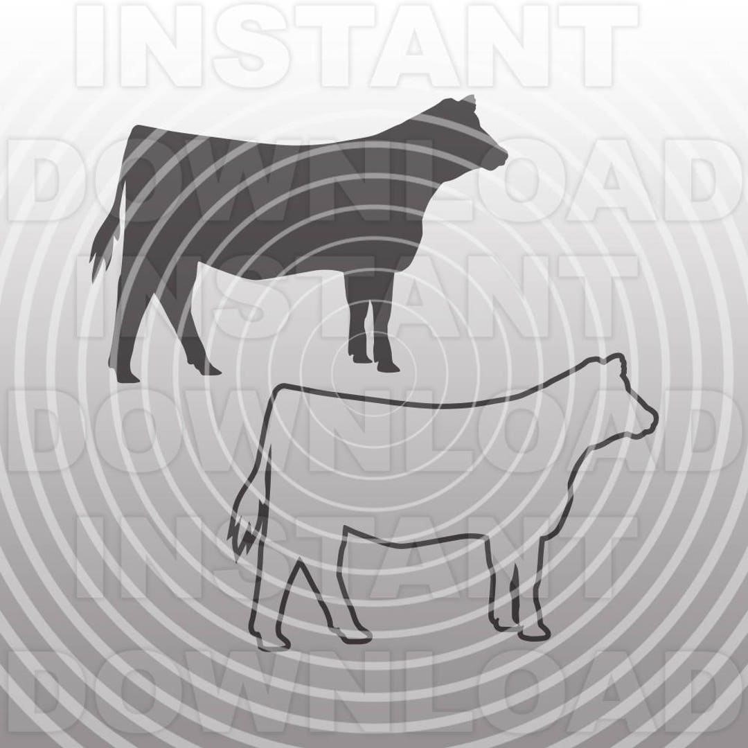 Show Heifer SVG File,stockshow Svg,cow Svg,livestock SVG -vector Ar ...