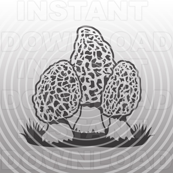 Morel Mushrooms SVG Filegourmet Cooking Svgkitchen SVG | Etsy