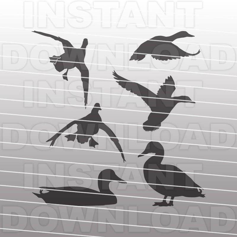 Duck Svg - Etsy