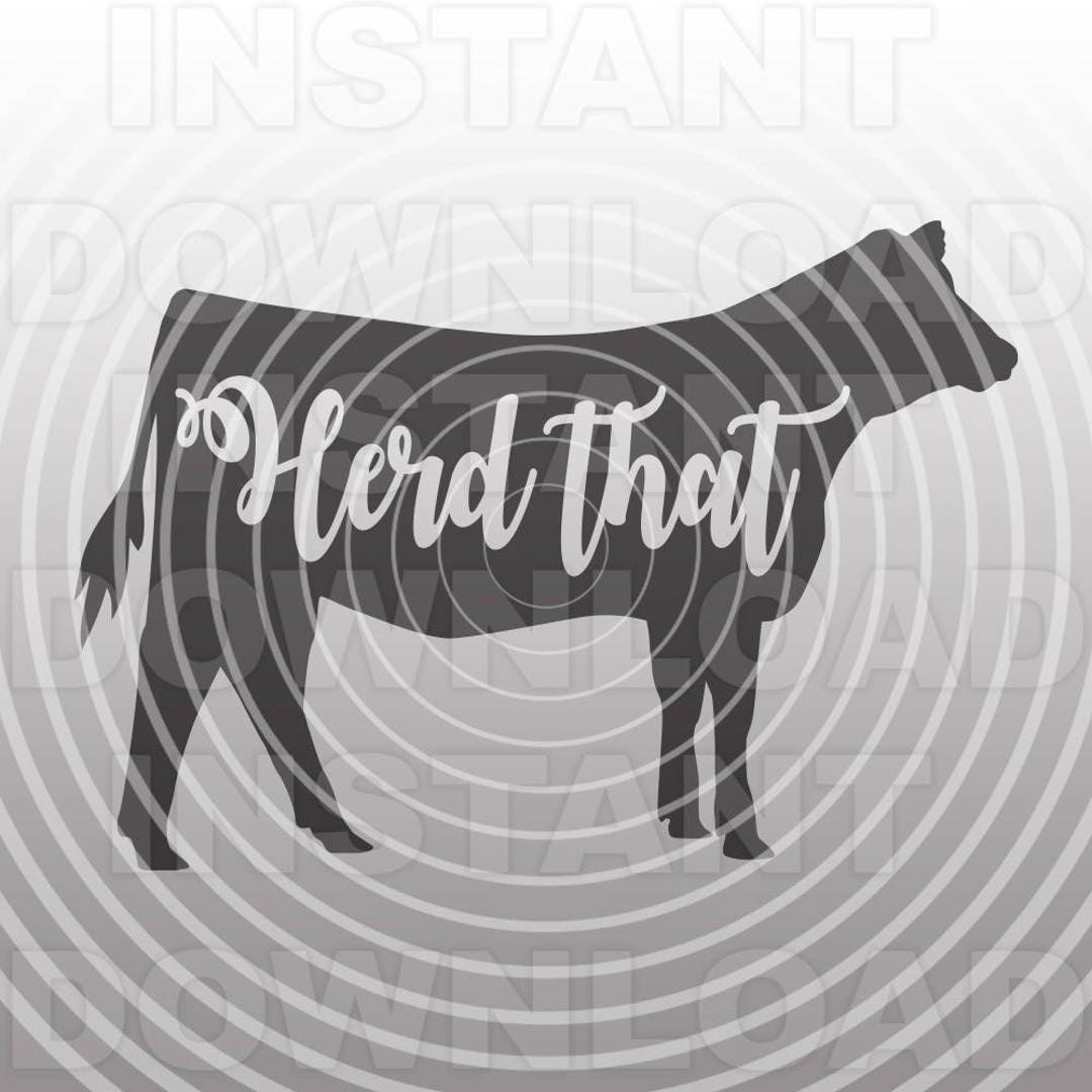 Show Heifer Svg,herd That Svg,stock Show Svg,livestock Show Svg -vector ...