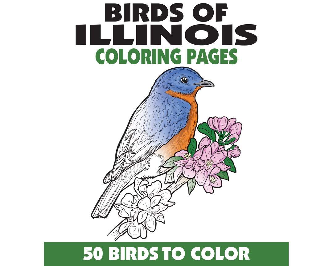 50 Birds of Illinois Coloring Pages Book,birdwatching Coloring Pages ...