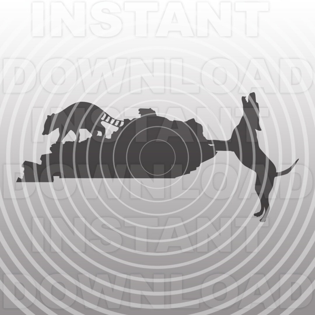 Kentucky Coon Hunting SVG File,raccoon SVG -vector Art for Commercial ...