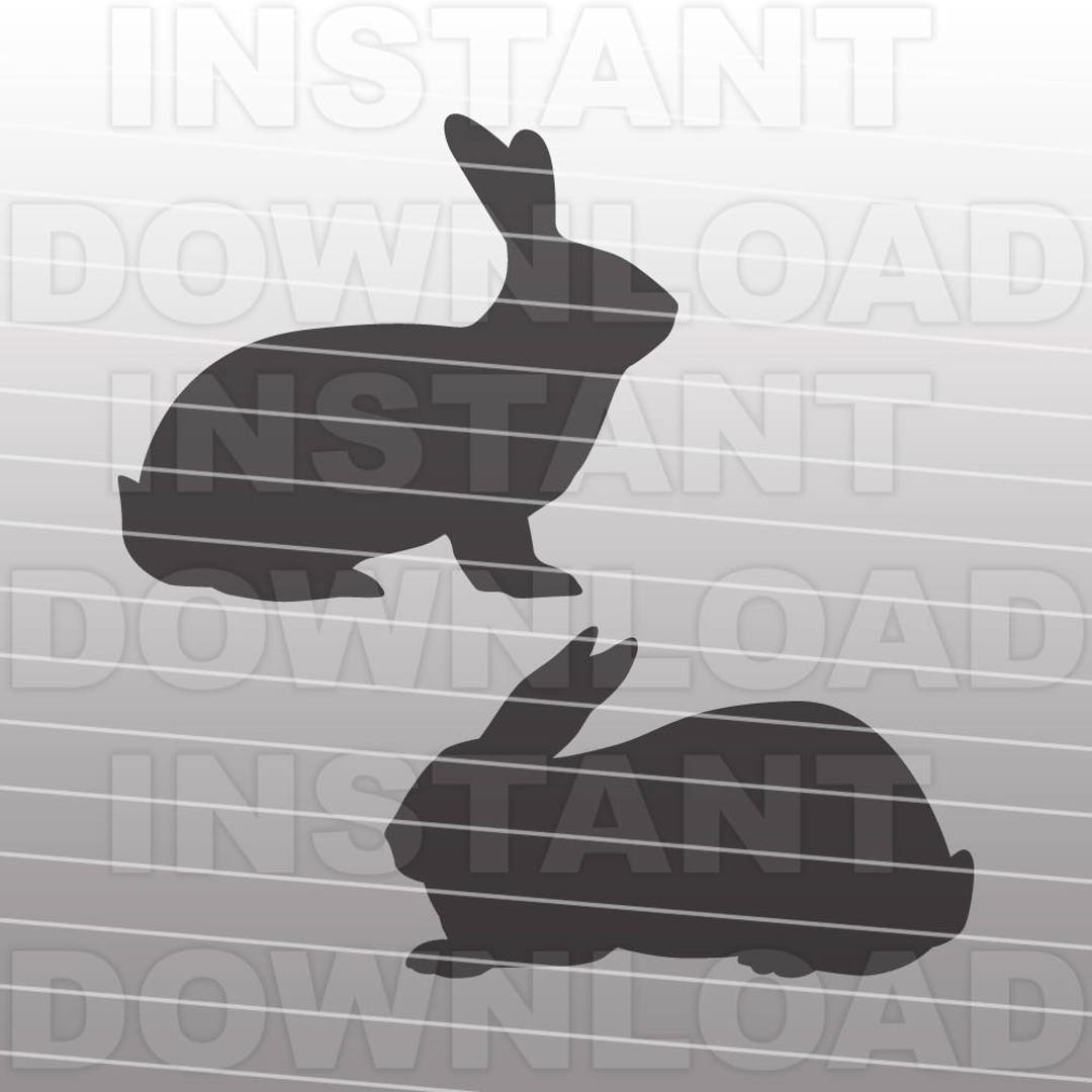 Show Rabbit SVG - County Fair SVG - Vector Art - for Commercial ...
