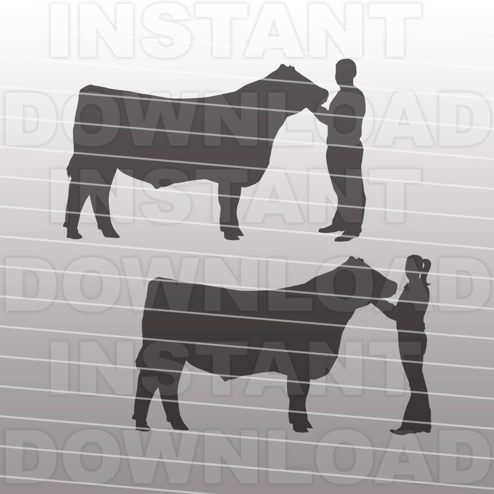 Show Steer Svgstock Show Svglivestock Judging SVG File - Etsy