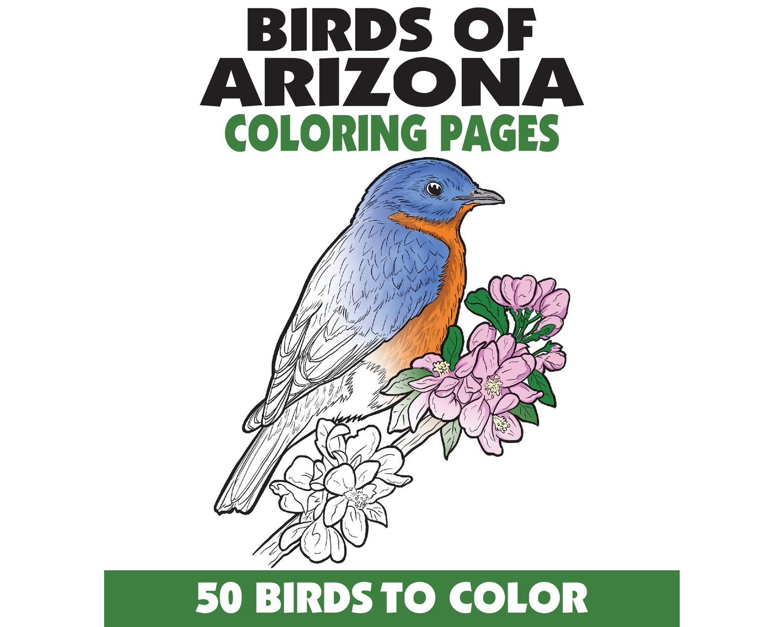 50 Birds of Arizona Coloring Pages Book,birdwatching Coloring Pages ...