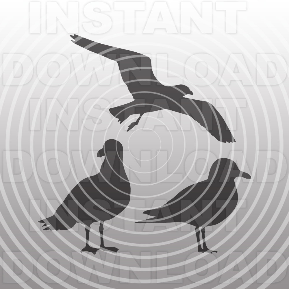 Seagull SVG File Beach SVG File Vector Art Commercial & | Etsy