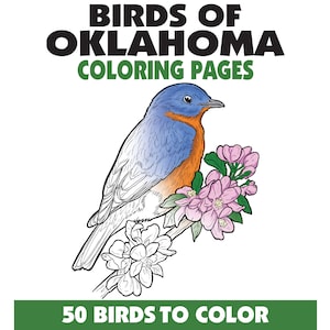 50 Birds of Oklahoma Coloring Pages Book,birdwatching Coloring Pages ...