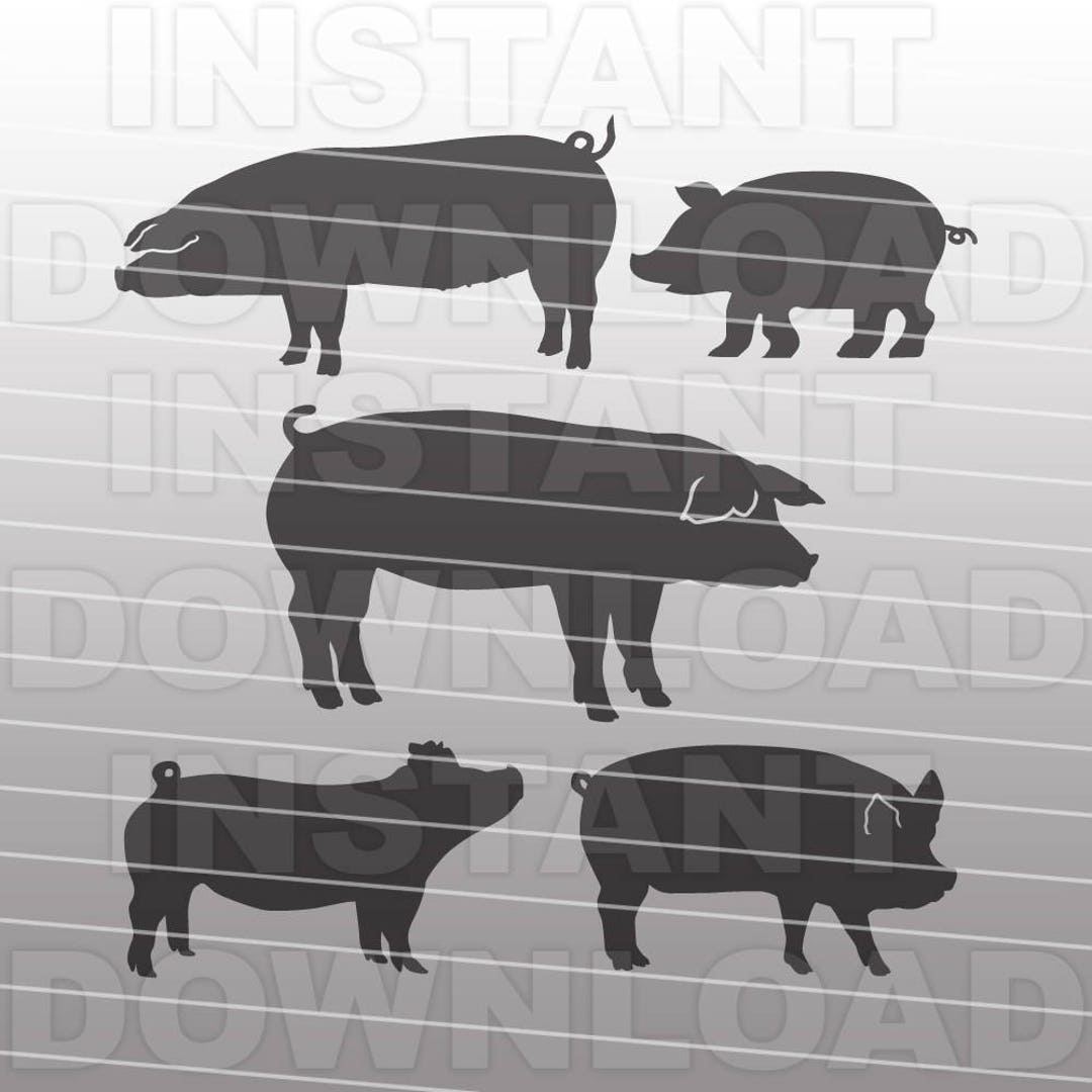Show Pigs SVG Bundle,livestock SVG File,farm Animal SVG File,hog Svg ...