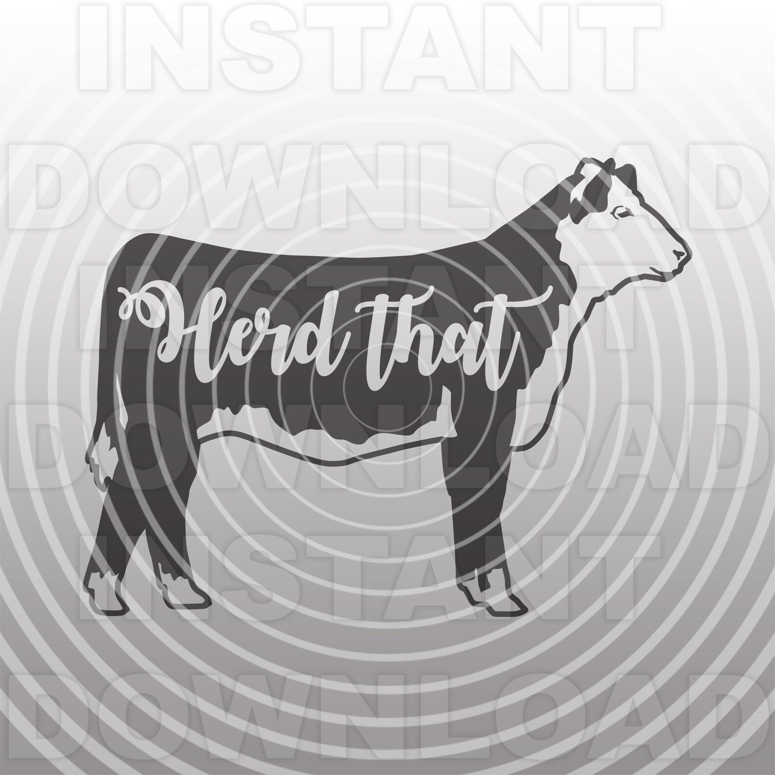 Herd That Mini Hereford Show Cattle Svg,stock Show Svg,livestock Svg ...