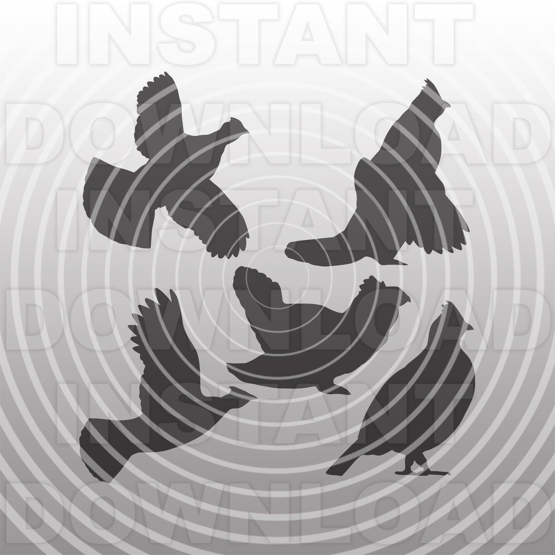 Ruffed Grouse SVG File,grouse Flying Svg,grouse Drumming SVG -vector ...