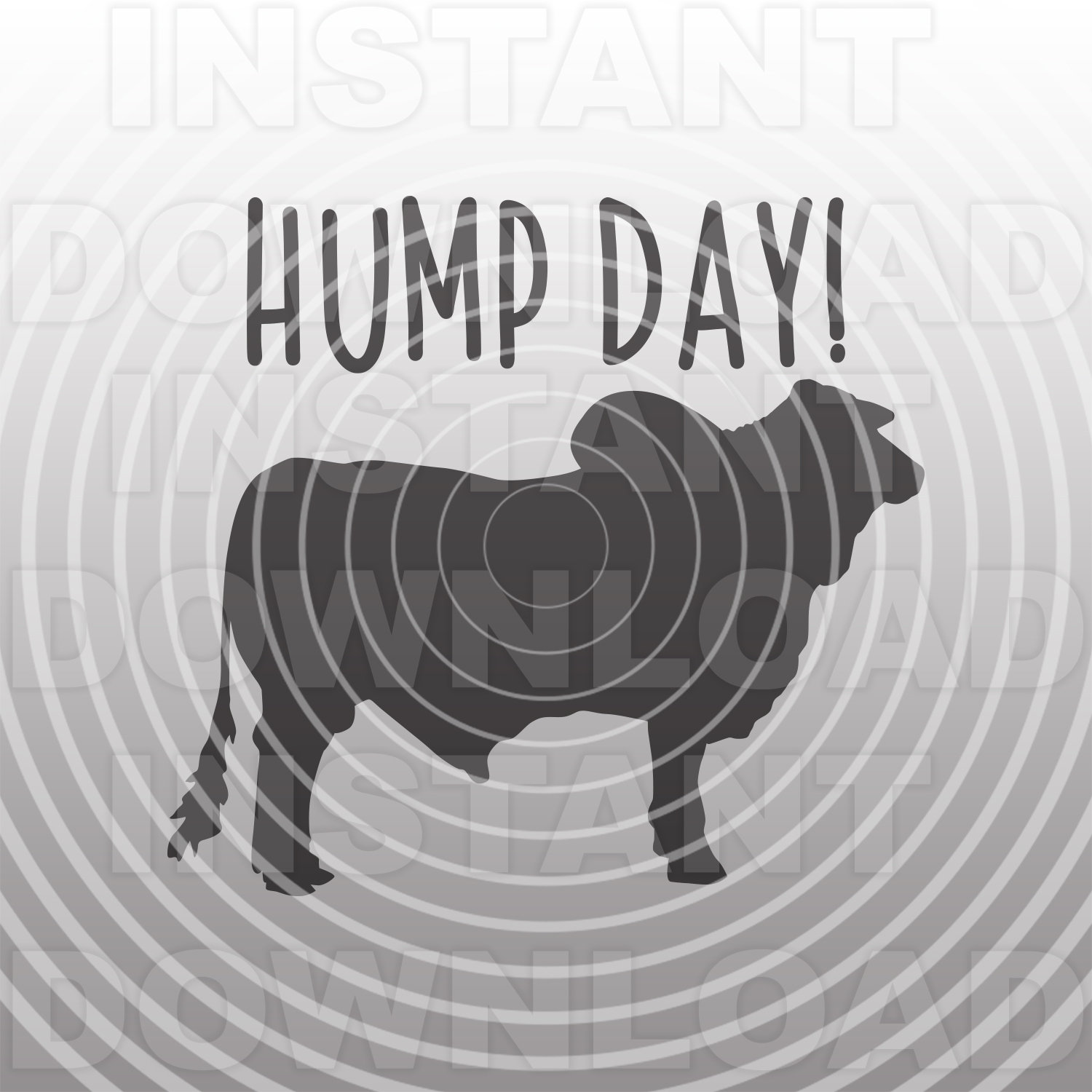Hump Day Brahman Bull SVG File,cattle Svg,livestock Svg -vector Art ...