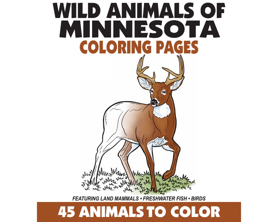 45 Wild Animals of Minnesota Coloring Pages Book,fish + Birds + Mammals ...