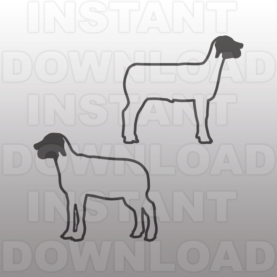 Show Sheep Svg, Stock Show SVG, Sheep Svg,cricut Svg, Svg Cuts ...