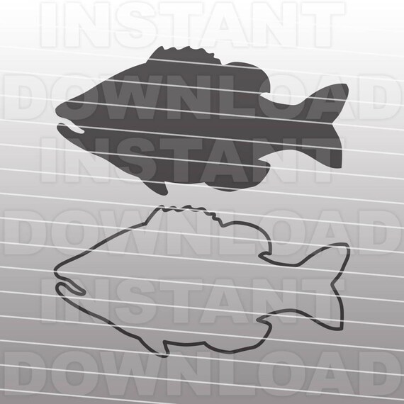 Smallmouth Bass SVG Filebass Outline SVG vector Art for - Etsy India